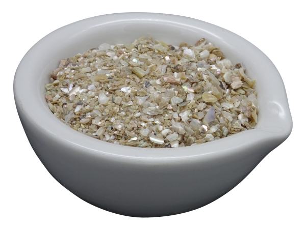 Haliotidis Concha / SHI JUE MING: Infos & TCM-Versand - Startpunkt